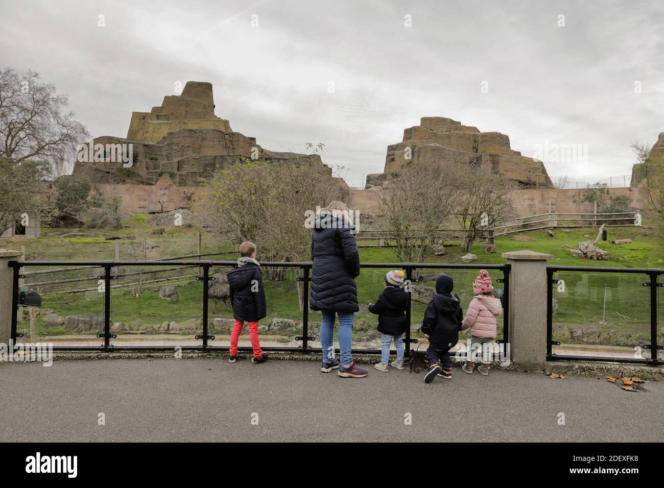 ZSL London Zoo, Regent’s Park, London, UK, 2nd December 2020.Children ...