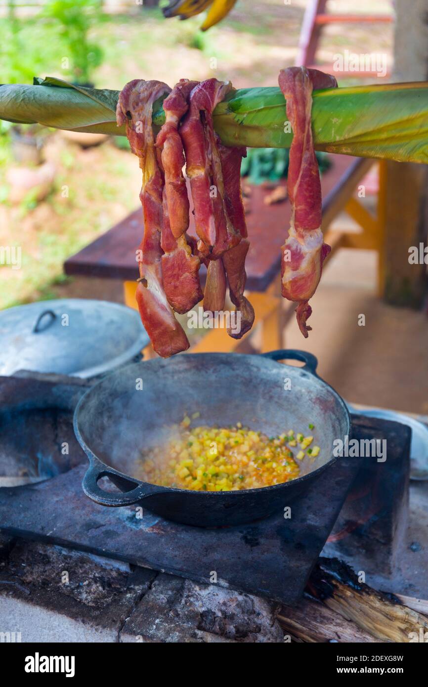 Boruca (also known as the Brunca or the Brunka) indigenous people ...