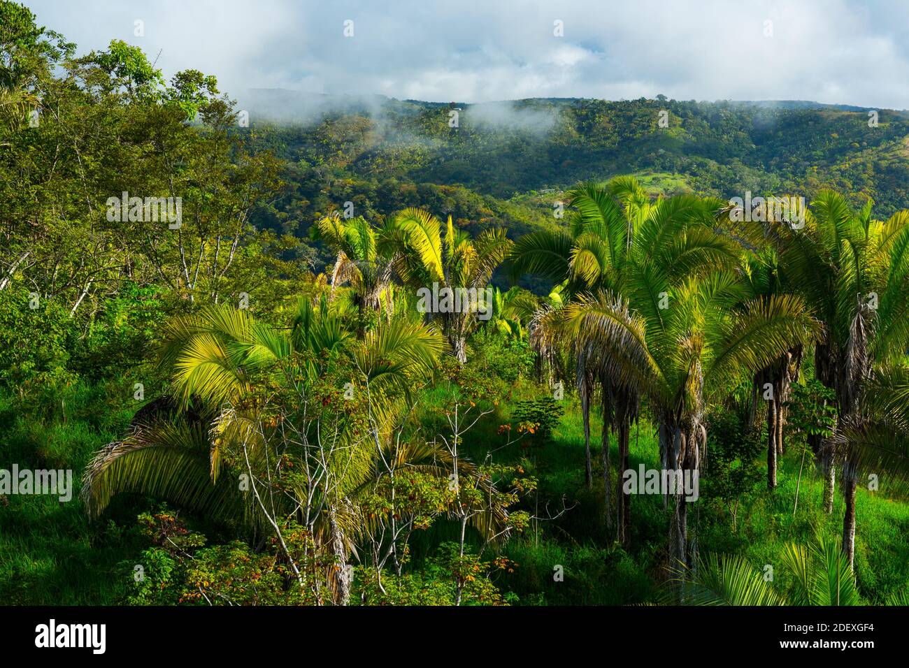 Boruca (also known as the Brunca or the Brunka) indigenous people ...