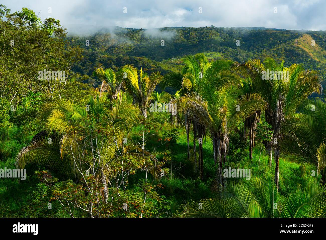 Boruca (also known as the Brunca or the Brunka) indigenous people ...
