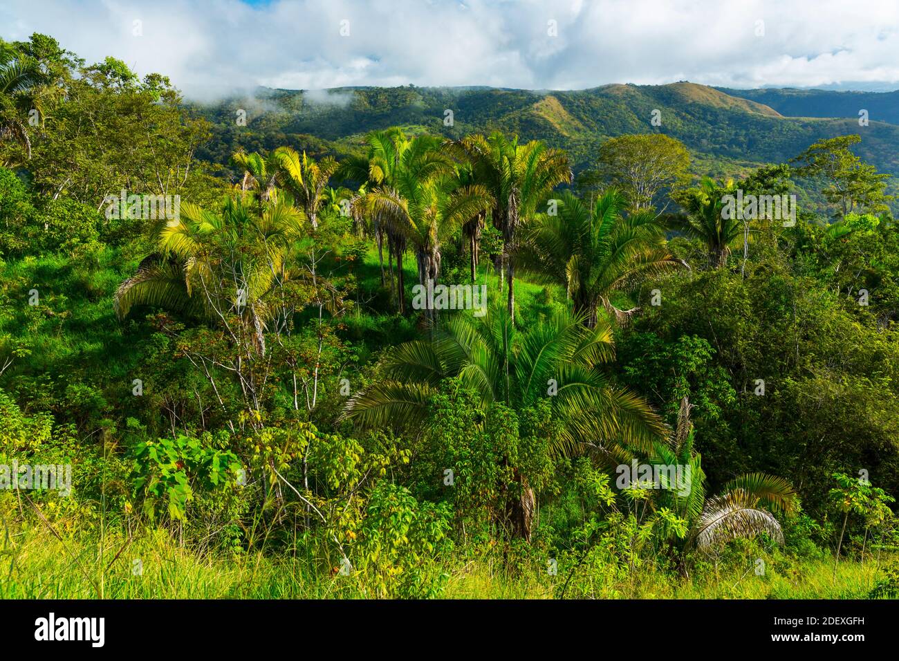 Boruca (also known as the Brunca or the Brunka) indigenous people ...