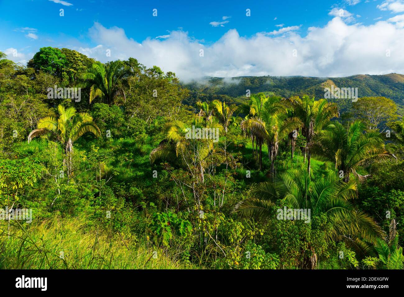 Boruca (also known as the Brunca or the Brunka) indigenous people ...