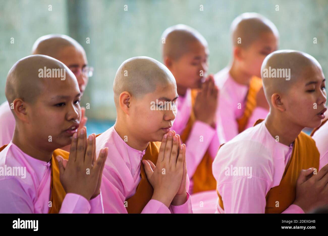 Praying inside temple hi-res stock photography and images - Alamy