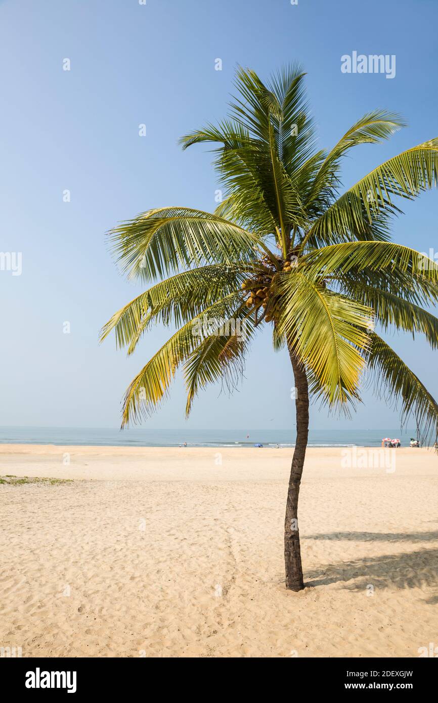 India, Goa, Mobor Beach Stock Photo - Alamy