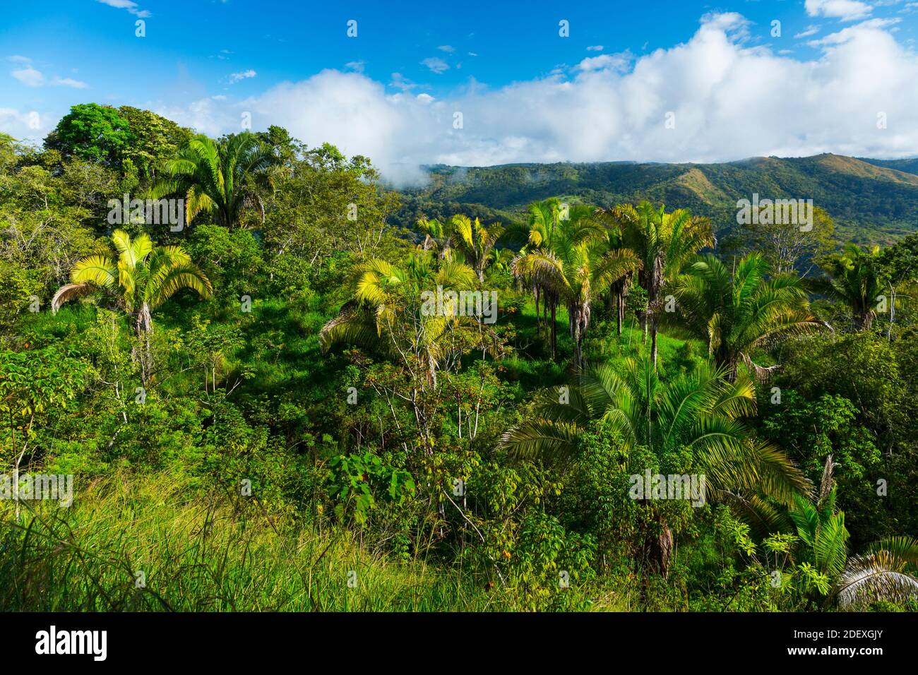 Boruca (also known as the Brunca or the Brunka) indigenous people ...