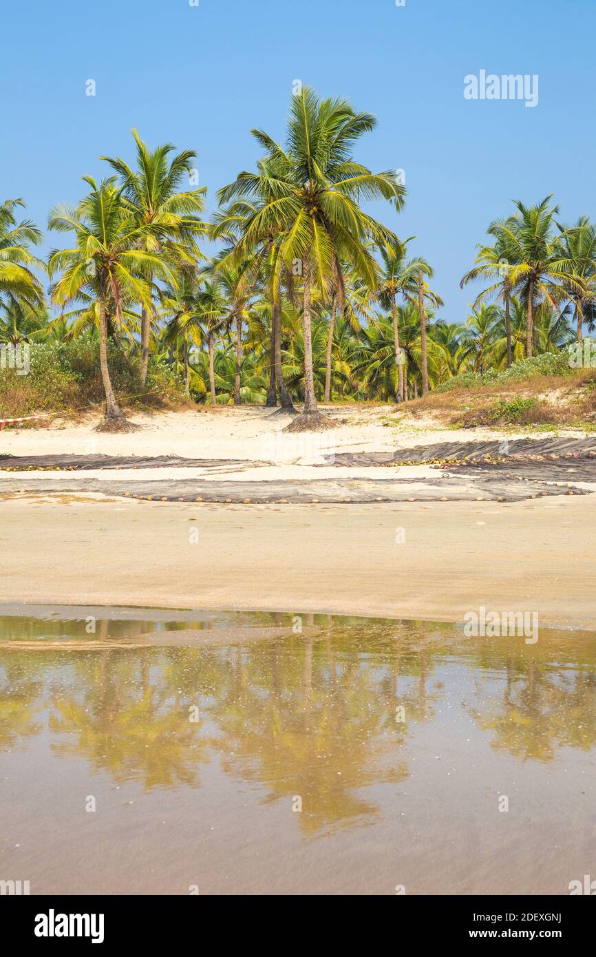 India, Goa, Colva beach Stock Photo - Alamy