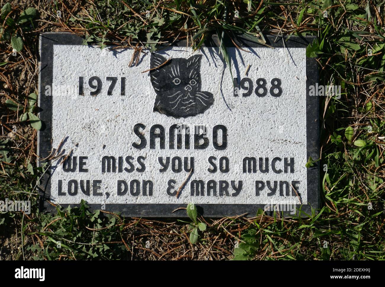 Calabasas, California, USA 1st December 2020 A general view of ...