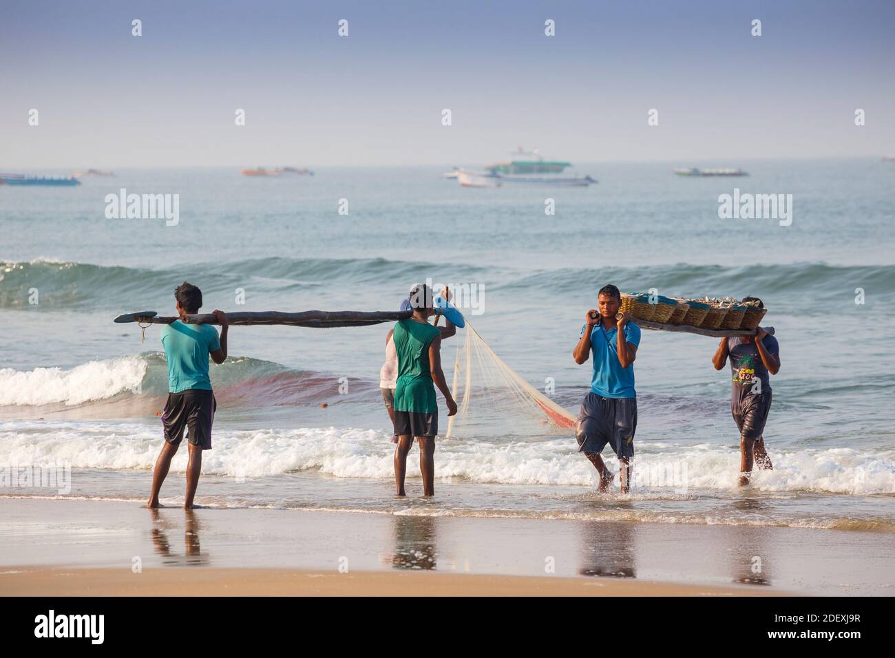 India, Goa, Colva beach, Fishermen carry baskets of fish Stock Photo ...
