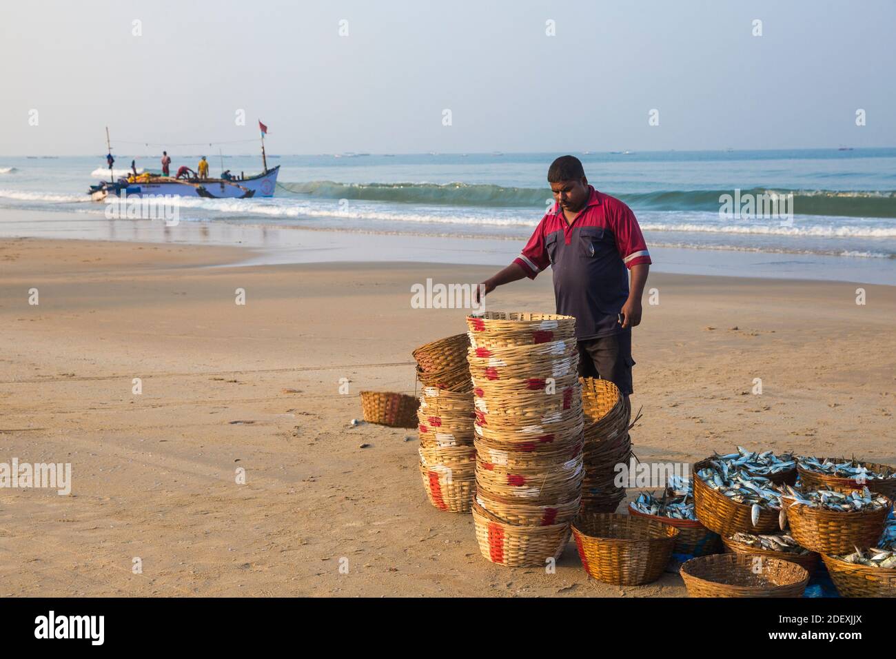India, Goa, Colva beach, Fisherman with morning fish catch Stock Photo ...