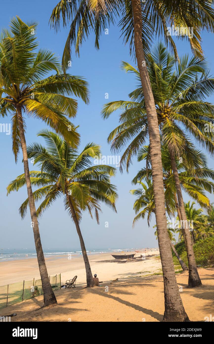 India, Goa, Colva beach Stock Photo - Alamy