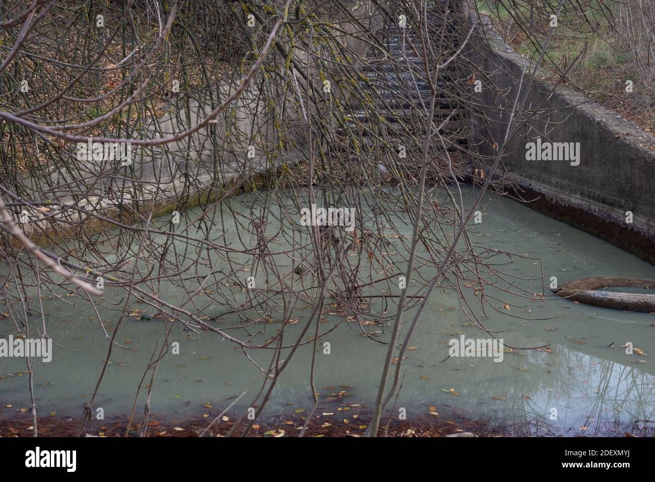 canal water pollution, river canal with muddy white water, flows down ...