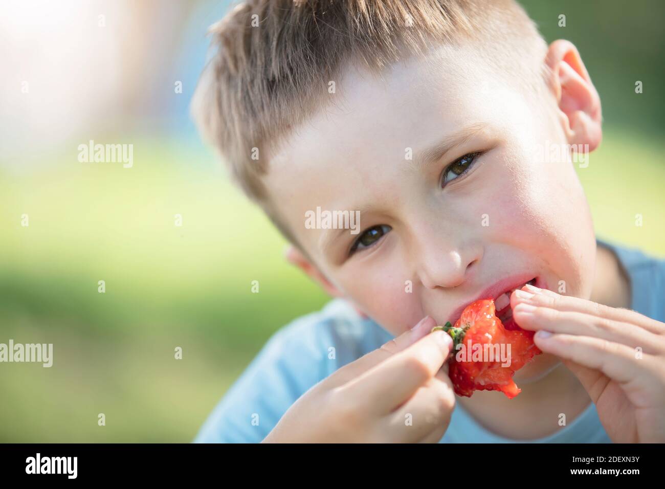 The child eats berries. The face of a boy eating sweet strawberries ...