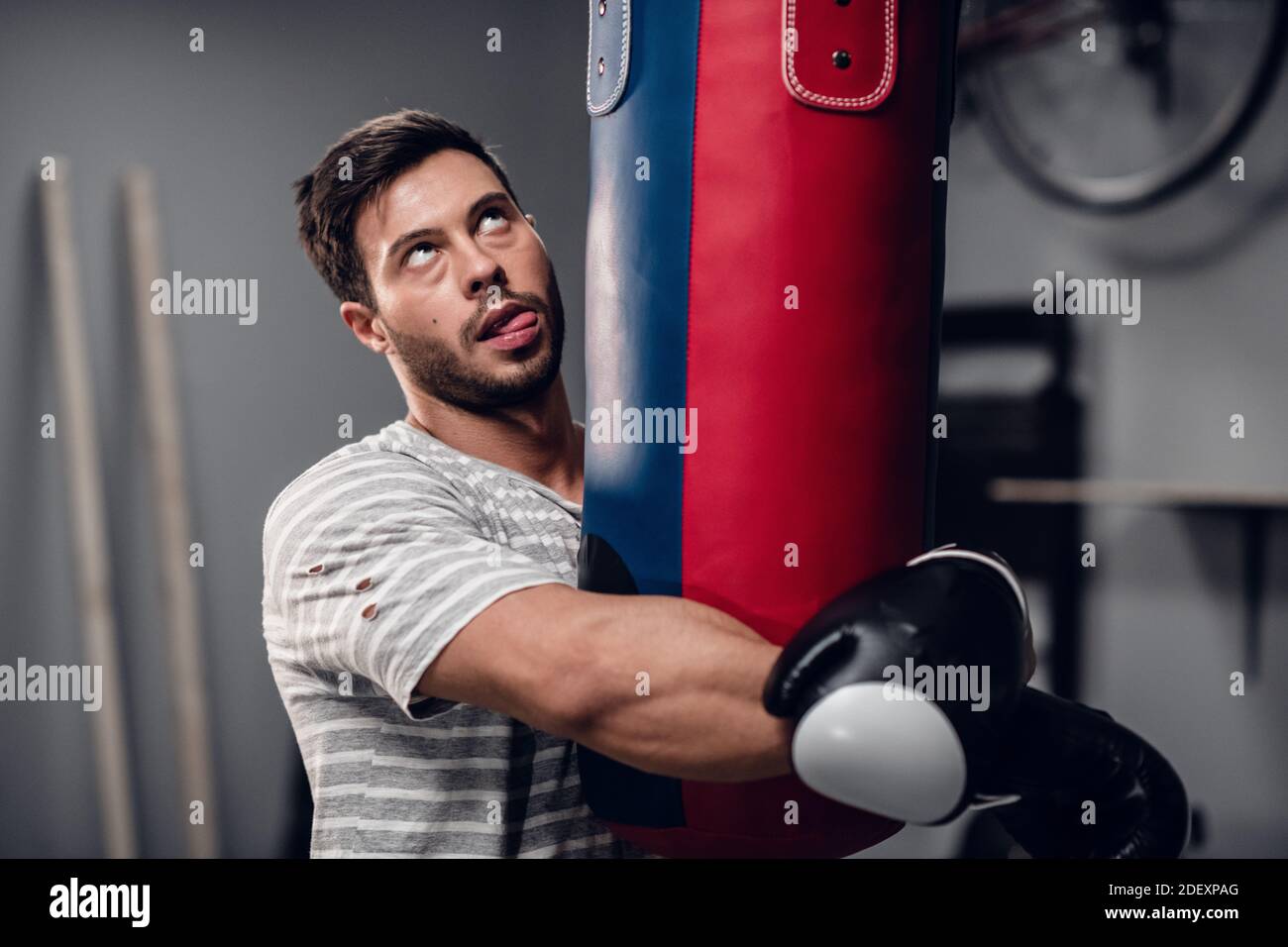 an athlete boxer poses for a photo session in the hall where he is ...