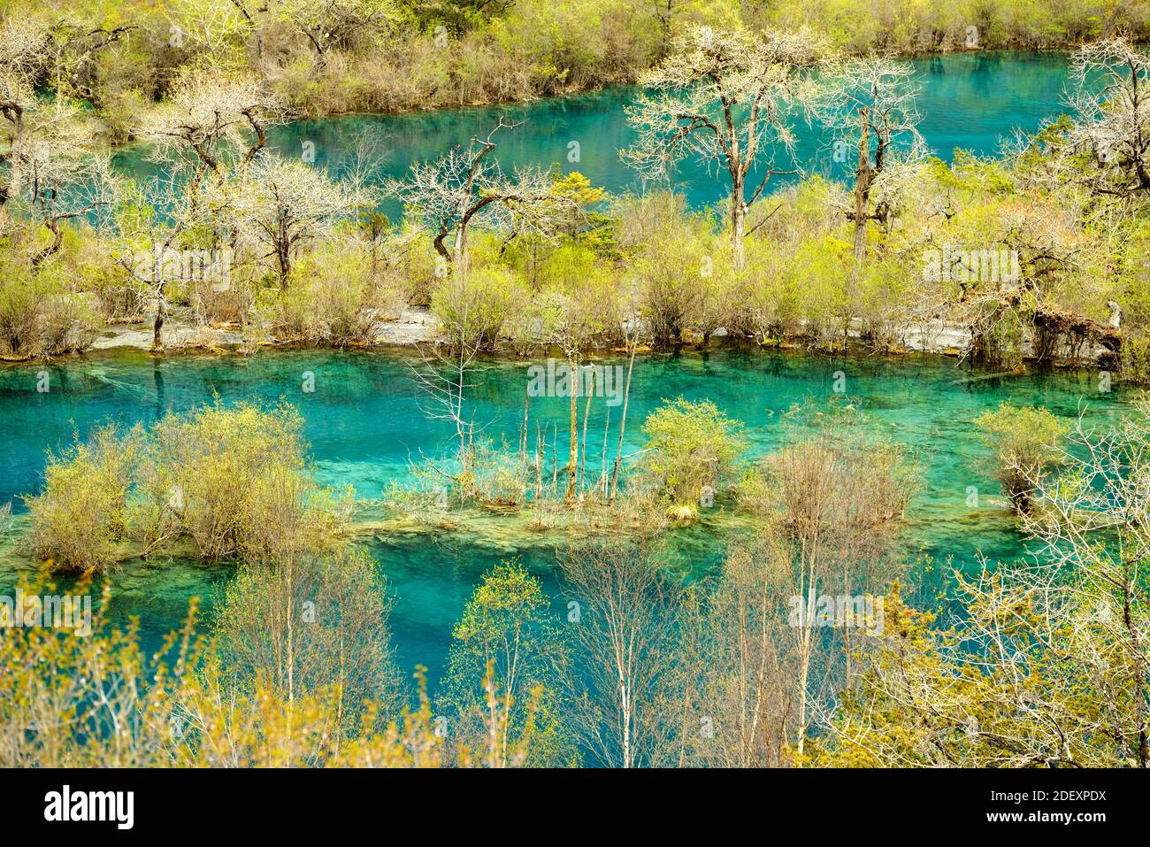 Shuzheng lake in Jiuzhaigou, mountains and trees covered by snow.The ...