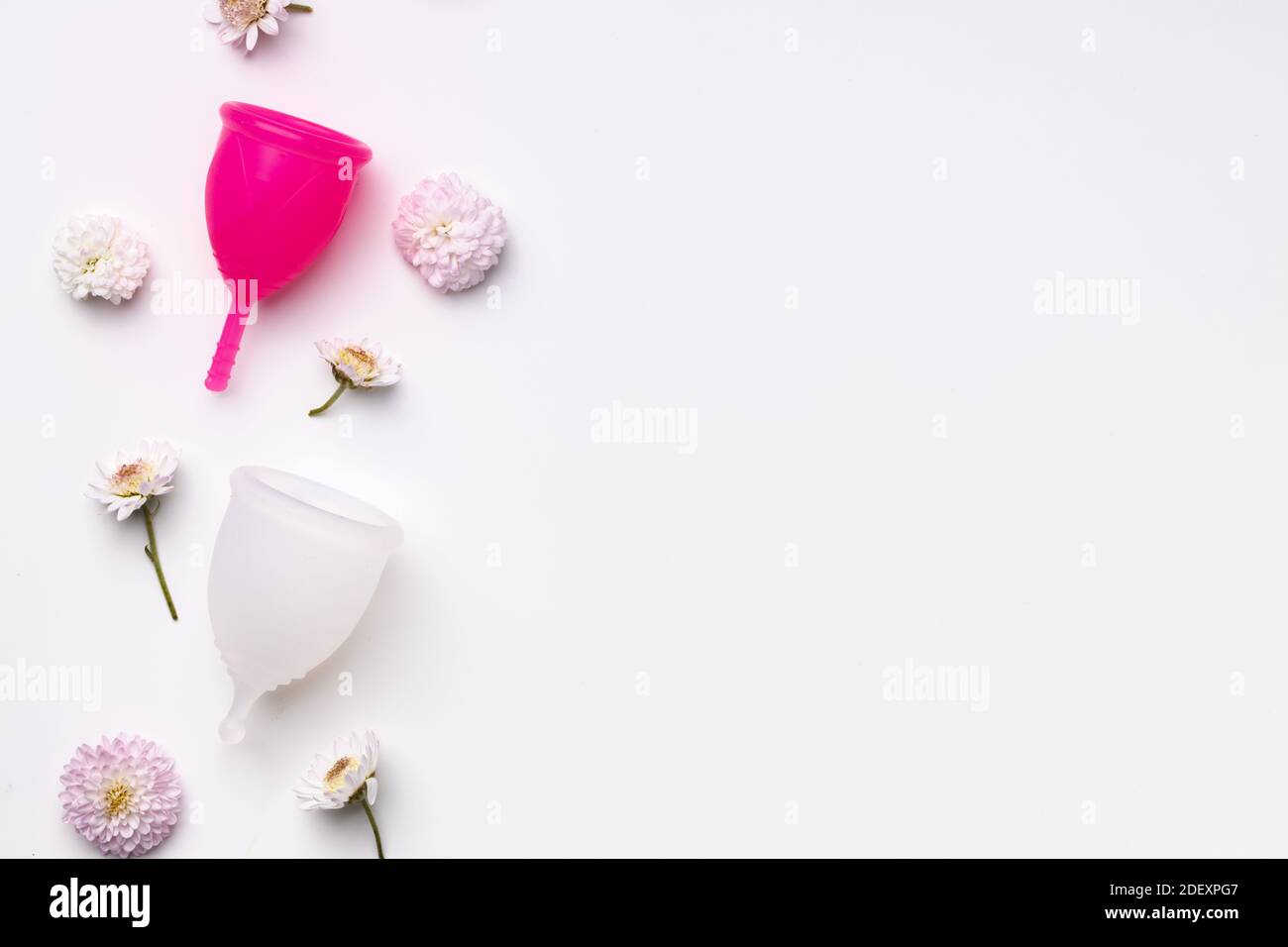 Menstrual cup with flowers on white background Stock Photo - Alamy