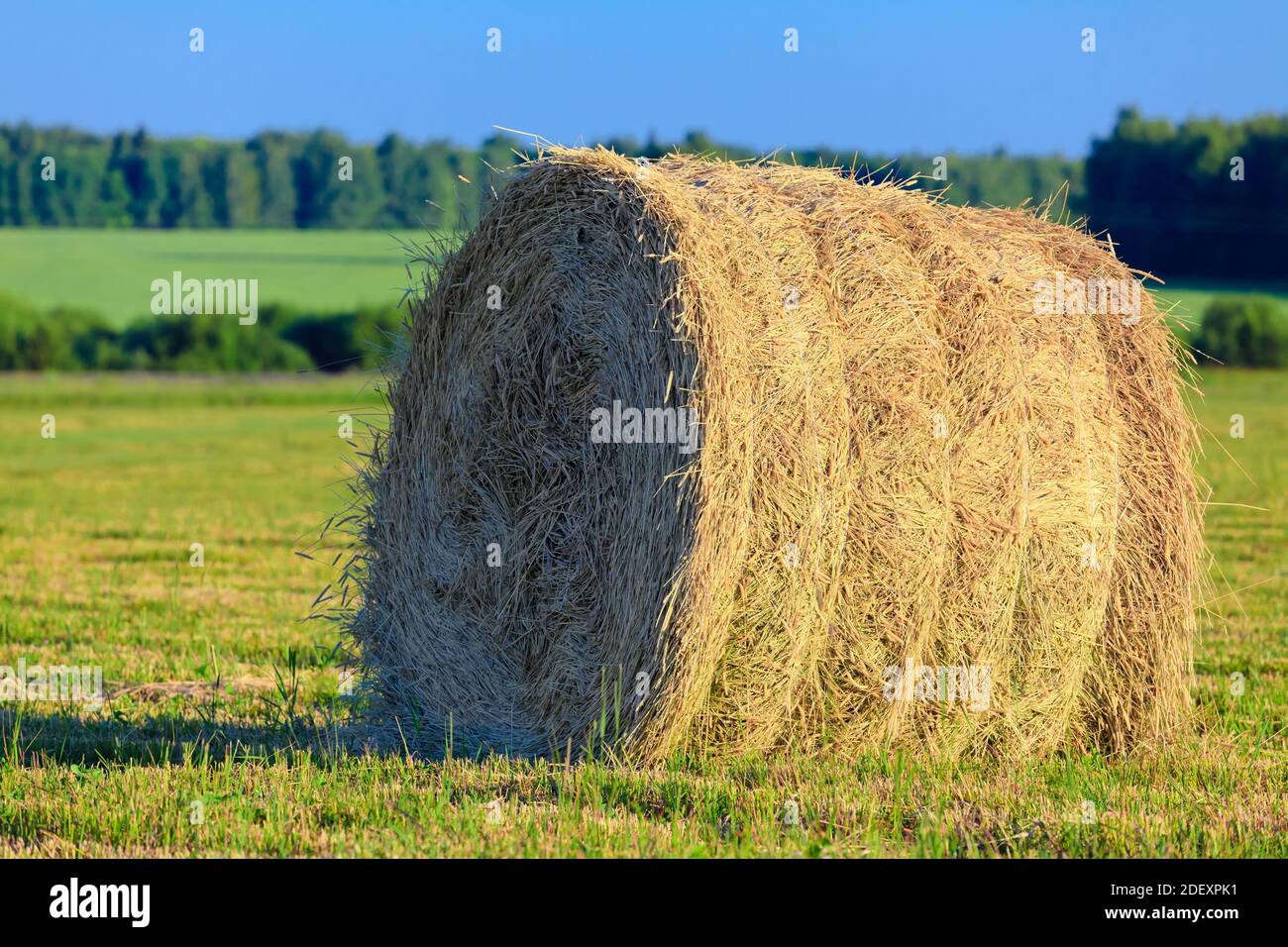 A rick of straw Stock Photo - Alamy