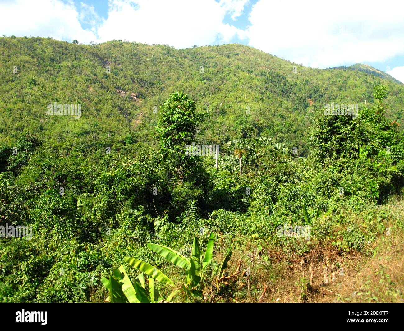 The view on tropical nature on mountains, Myanmar Stock Photo - Alamy