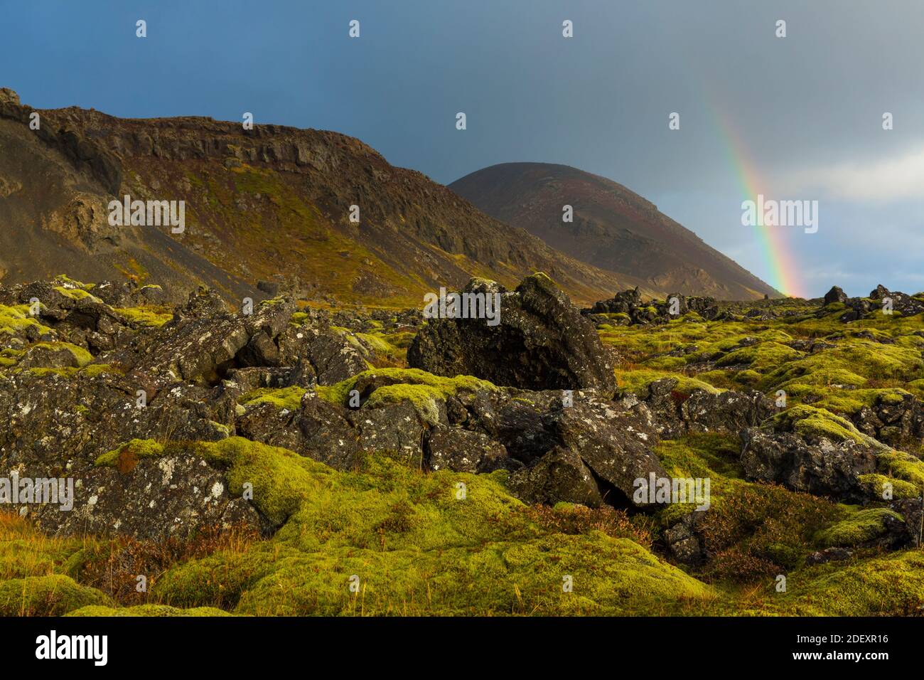 Lava fields, Reykjanes Peninsula, Southern Iceland, Iceland, Europe ...