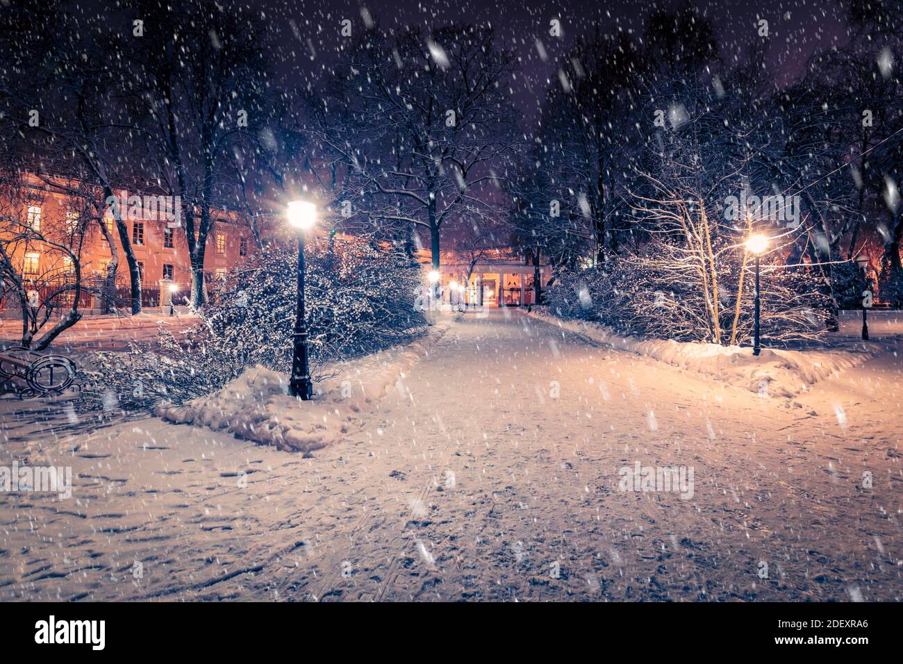 Winter night park with lanterns, pavement and trees covered with snow ...