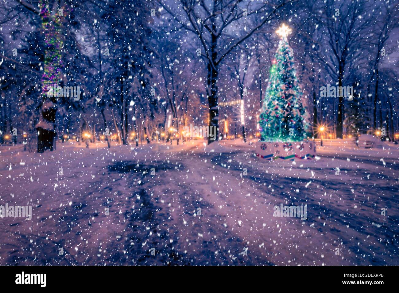 Blured photo of a winter night park with lanterns and Christmas ...