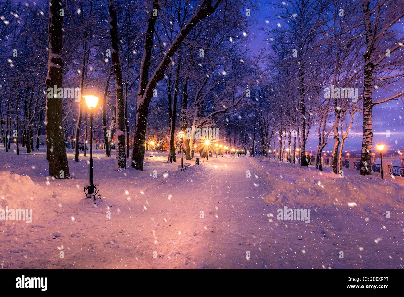 Winter night park with lanterns, pavement and trees covered with snow ...