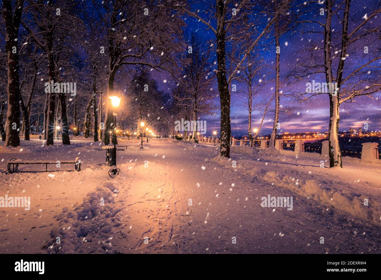 Winter night park with lanterns, pavement and trees covered with snow ...