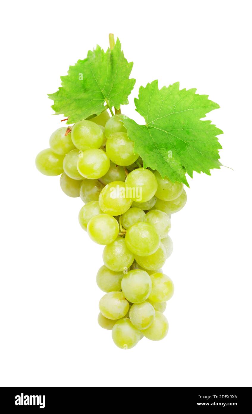 Green grapes with leaves. Isolated on white background Stock Photo - Alamy