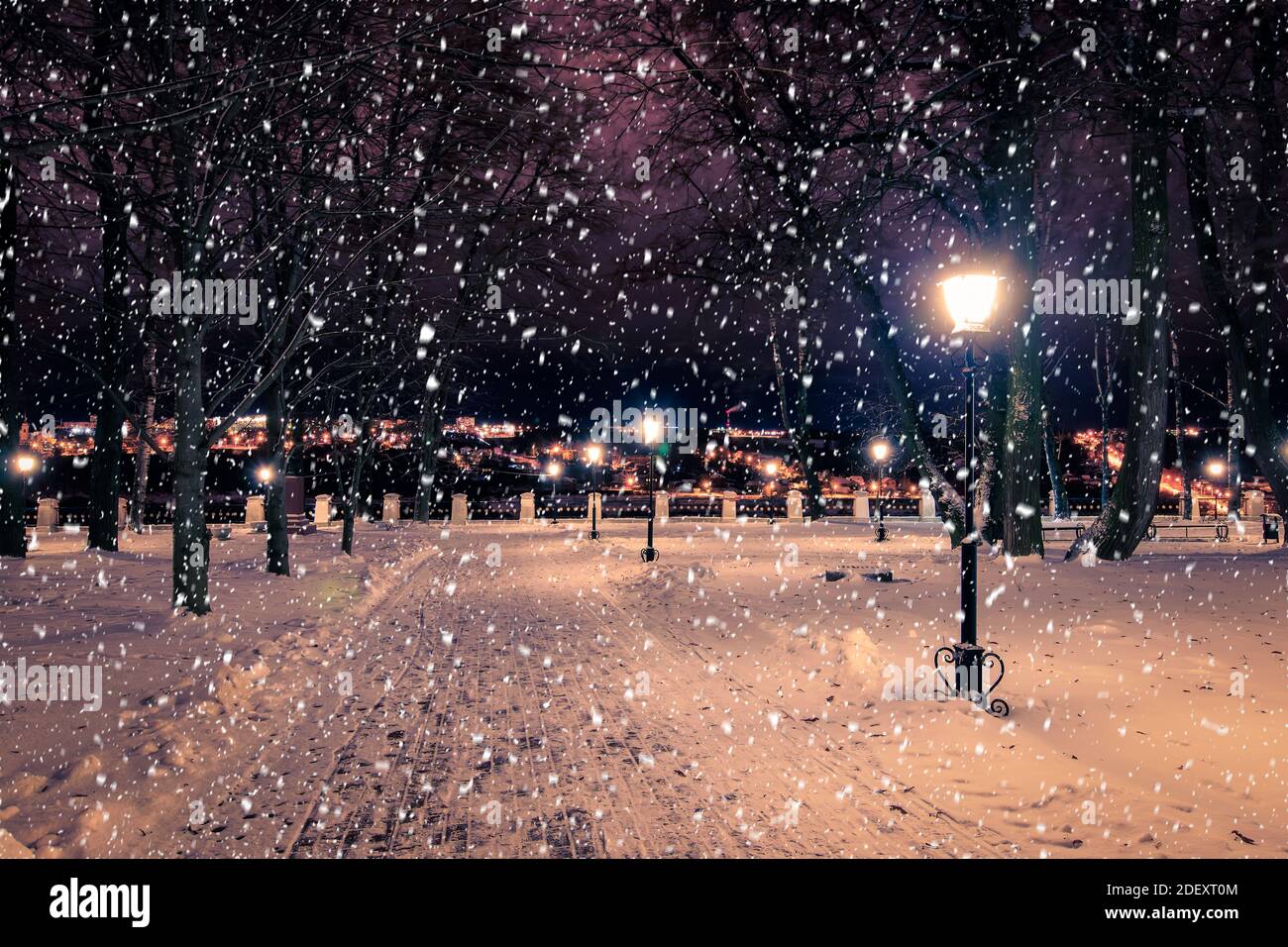 Winter night park with lanterns, pavement and trees covered with snow ...