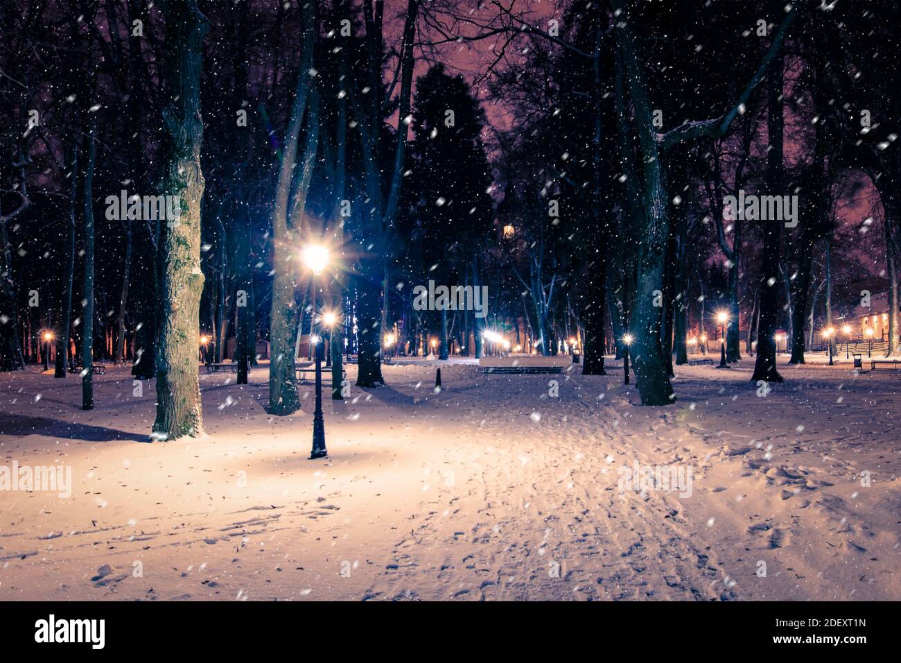 Winter night park with lanterns, pavement and trees covered with snow ...