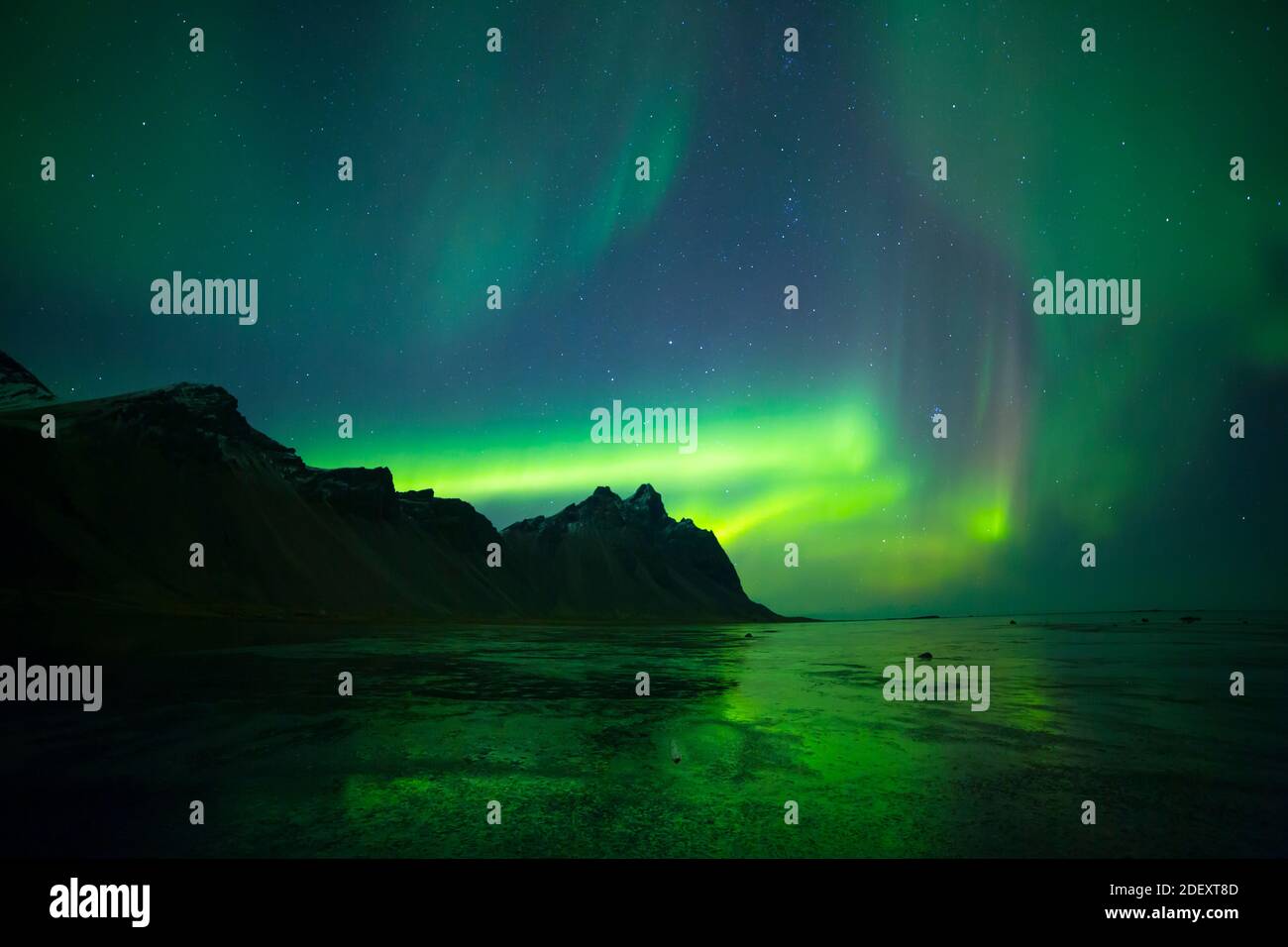 Northern Lights, Stokksnes Peninsula, Hofn, Southern Iceland, Iceland ...