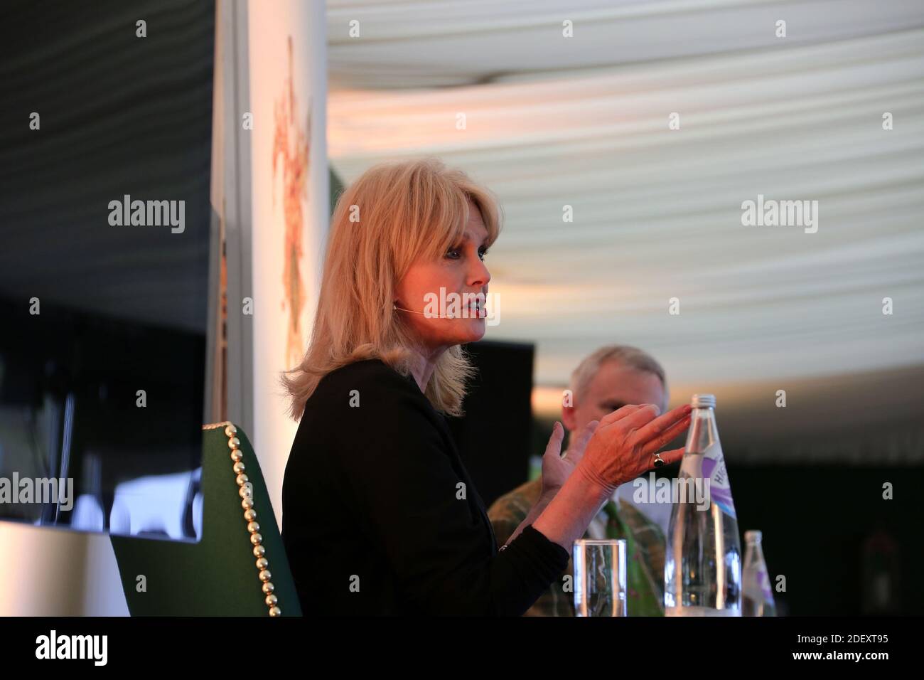 Joanna Lumley OBE at the Boswell Book Festival Dumfries House, East ...
