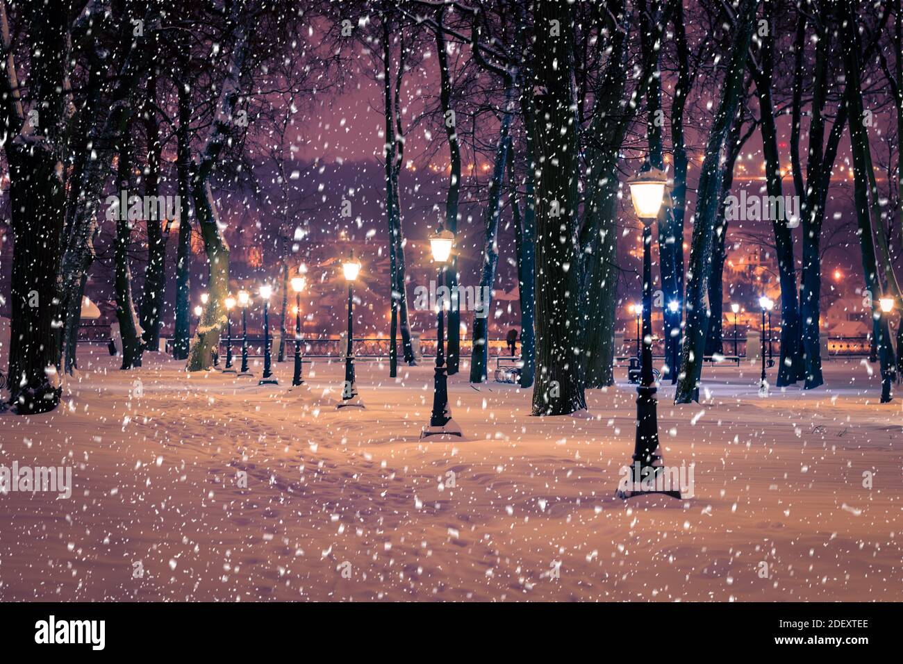 Winter night park with lanterns, pavement and trees covered with snow ...