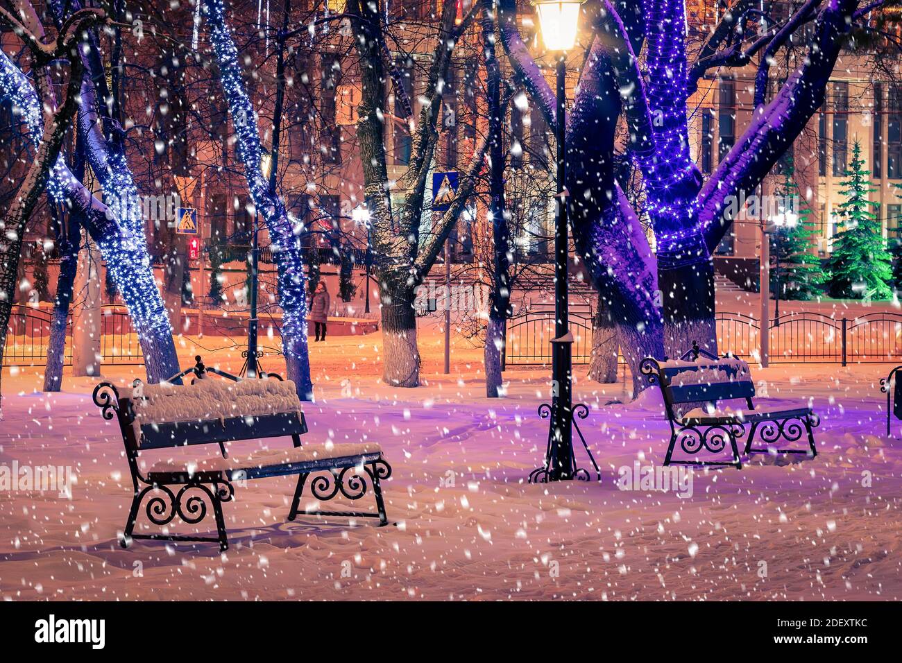 Winter night park with lanterns, pavement and trees covered with snow ...