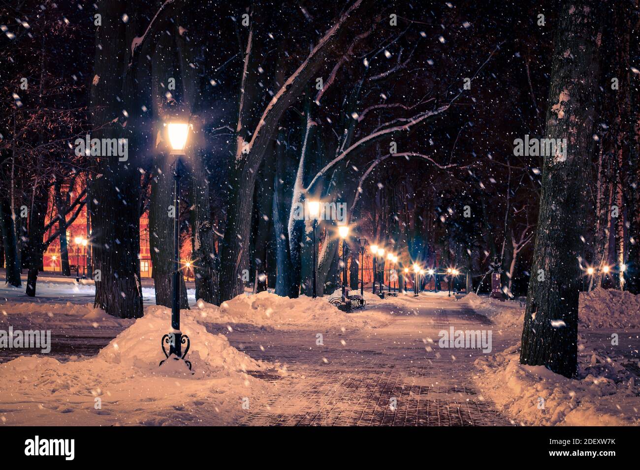 Winter night park with lanterns, pavement and trees covered with snow ...