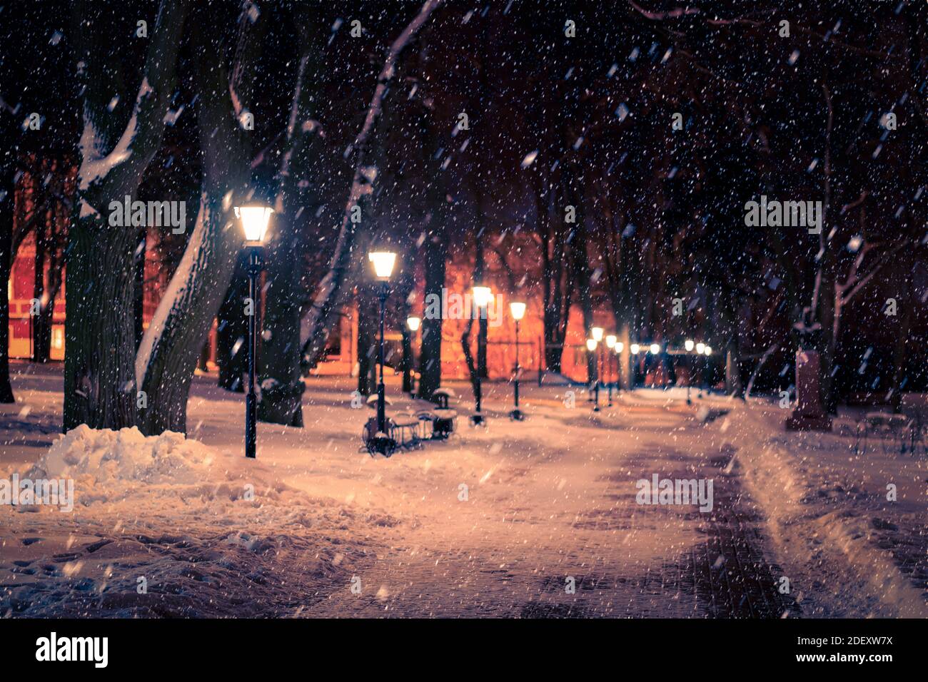 Winter night park with lanterns, pavement and trees covered with snow ...