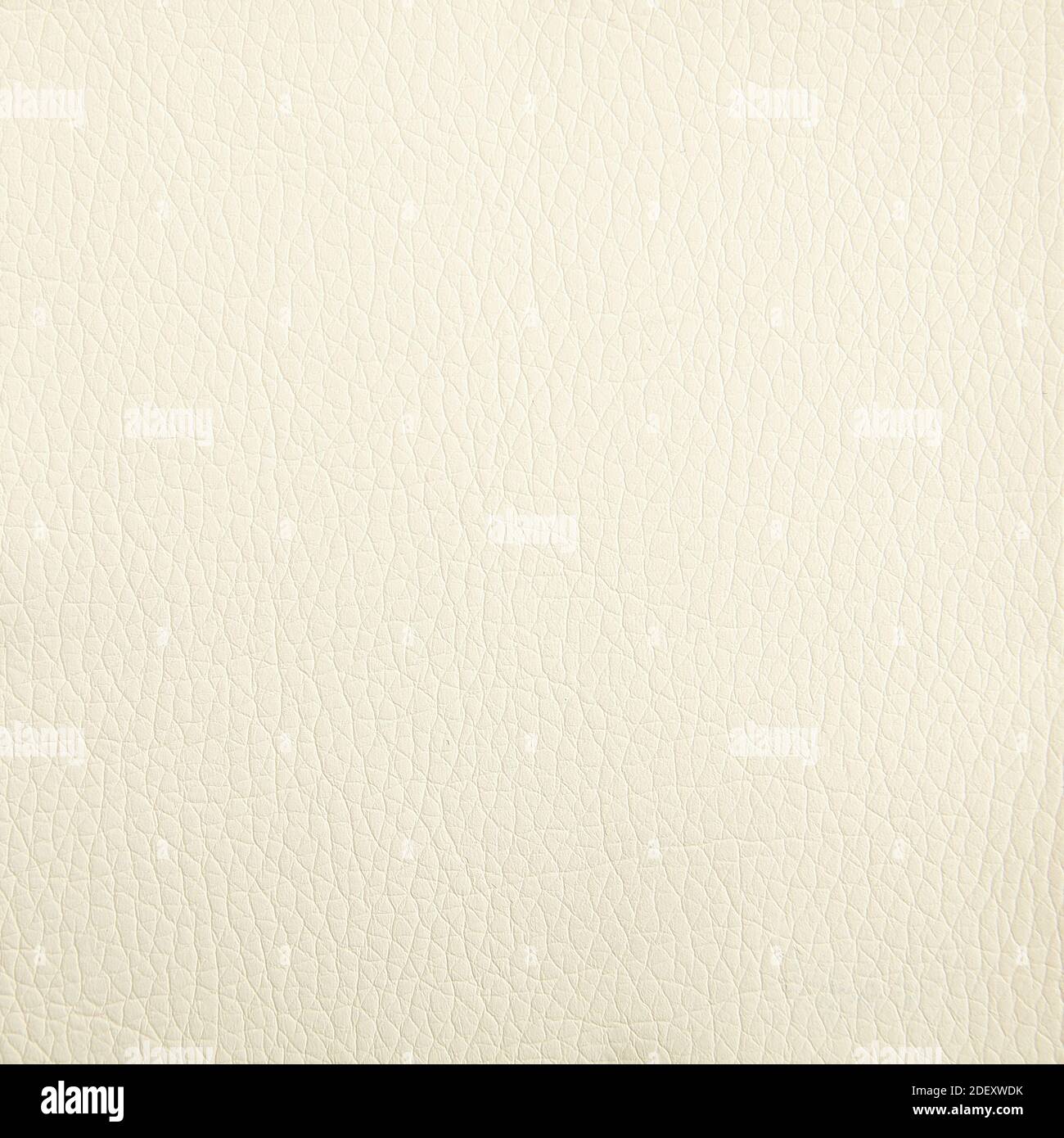 Premium ivory leather texture background for decor Stock Photo - Alamy