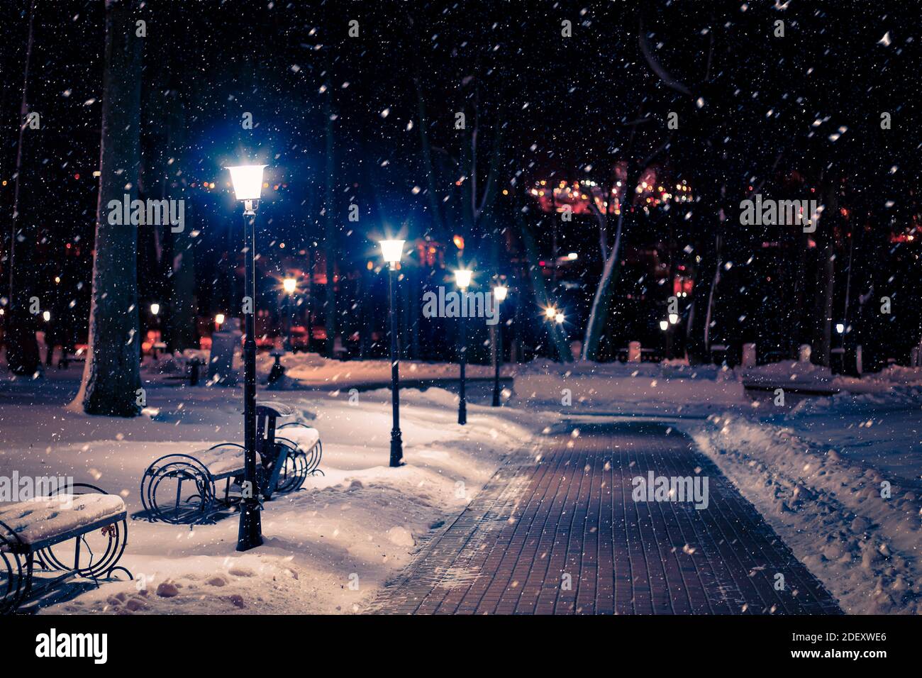 Winter night park with lanterns, pavement and trees covered with snow ...