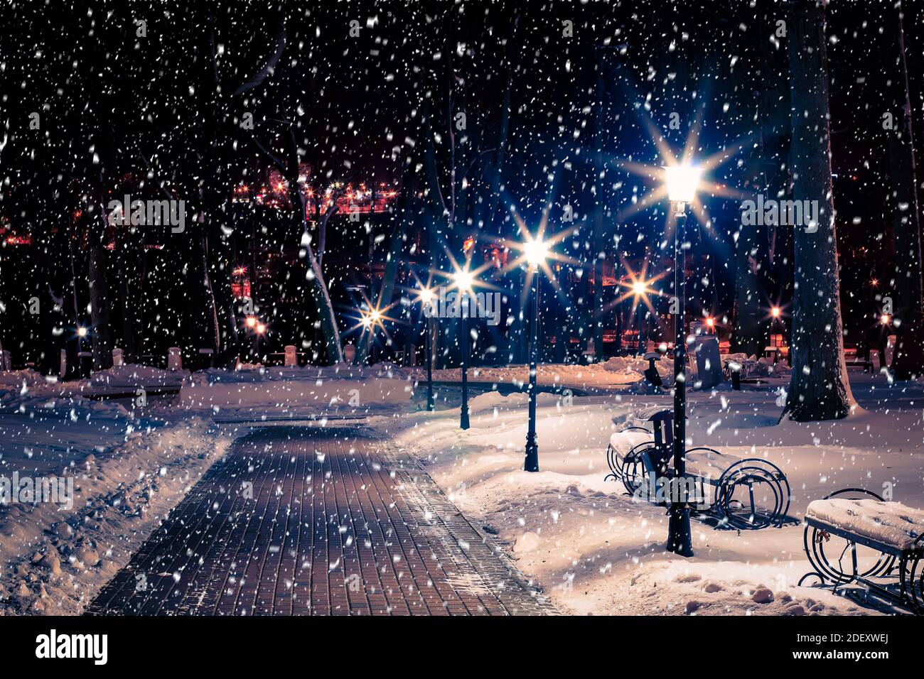 Winter night park with lanterns, pavement and trees covered with snow ...