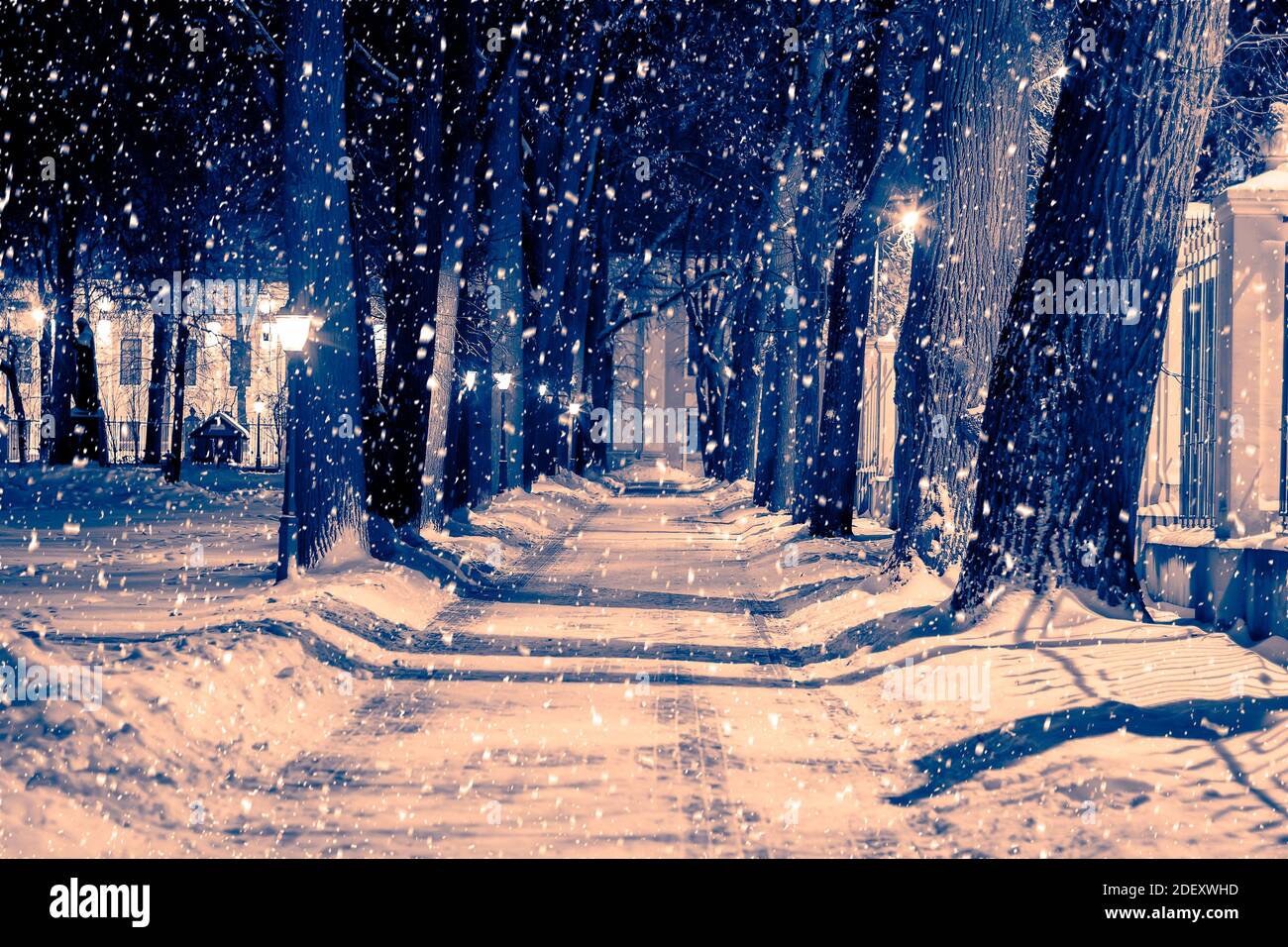 Winter night park with lanterns, pavement and trees covered with snow ...