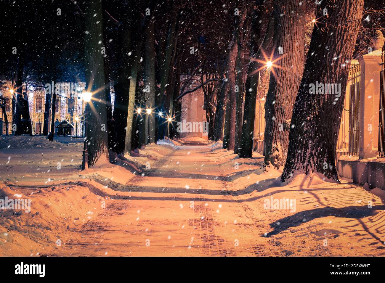 Winter night park with lanterns, pavement and trees covered with snow ...