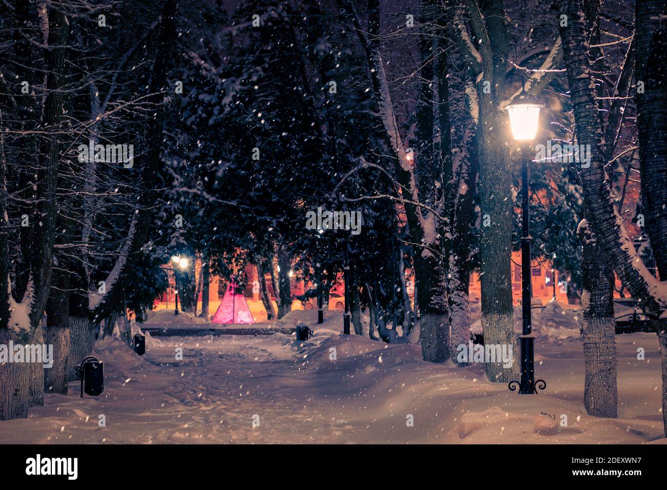 Winter night park with lanterns, pavement and trees covered with snow ...