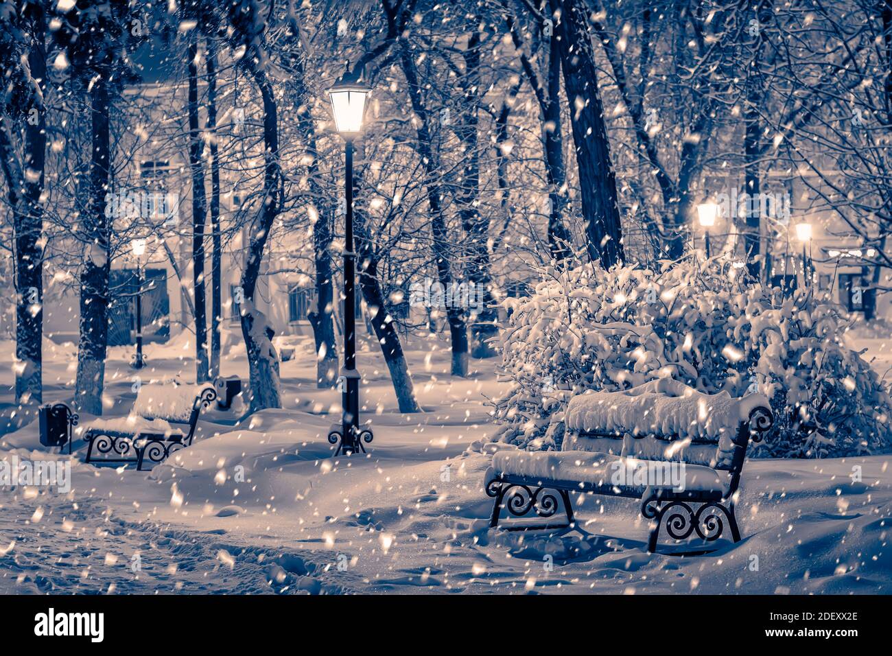 Winter night park with lanterns, benches, pavement and trees covered ...