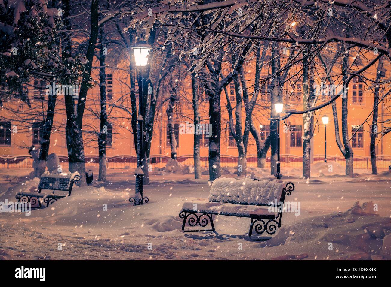 Winter night park with lanterns, benches, pavement and trees covered ...