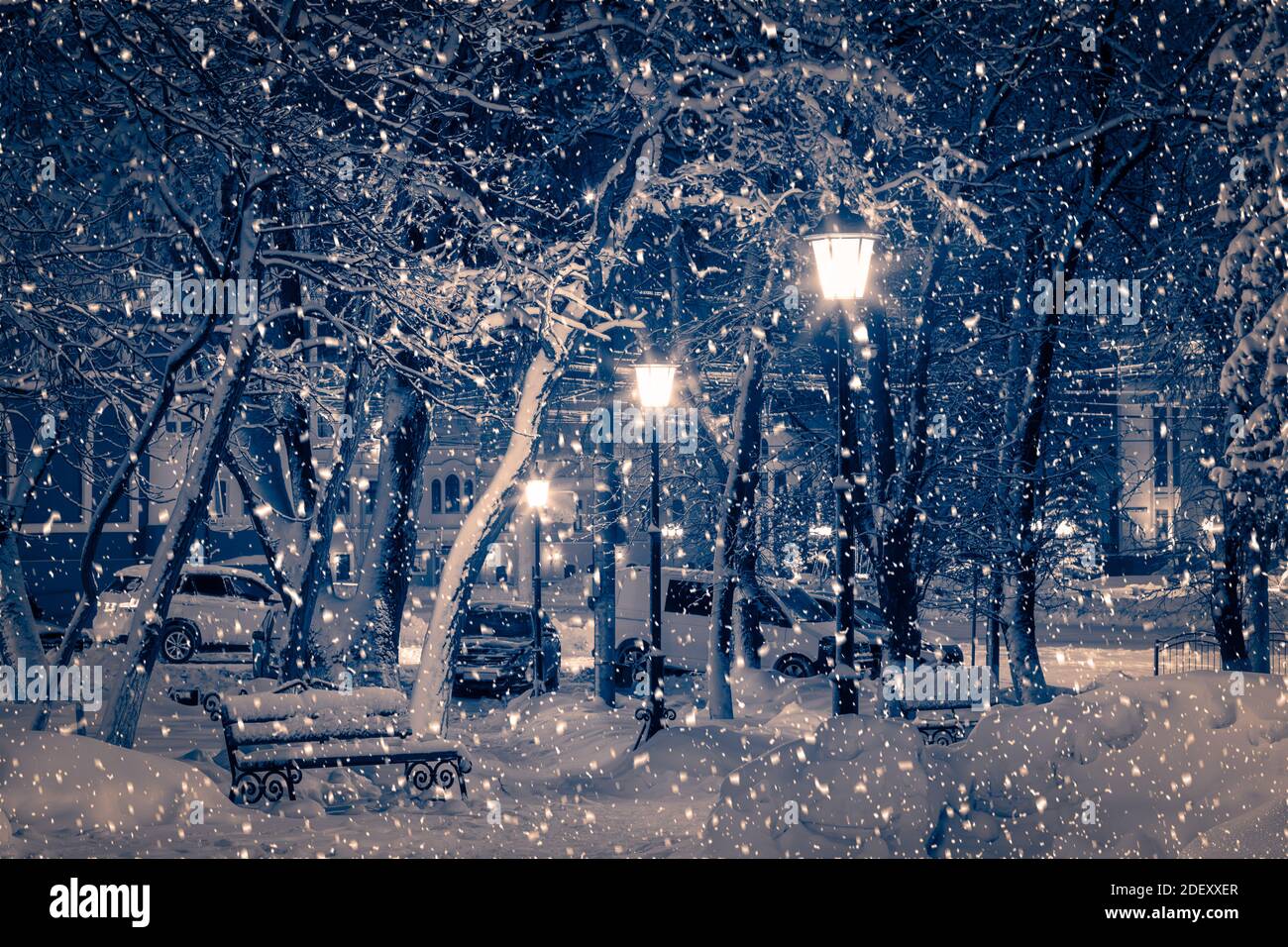 Winter night park with lanterns, benches, pavement and trees covered ...