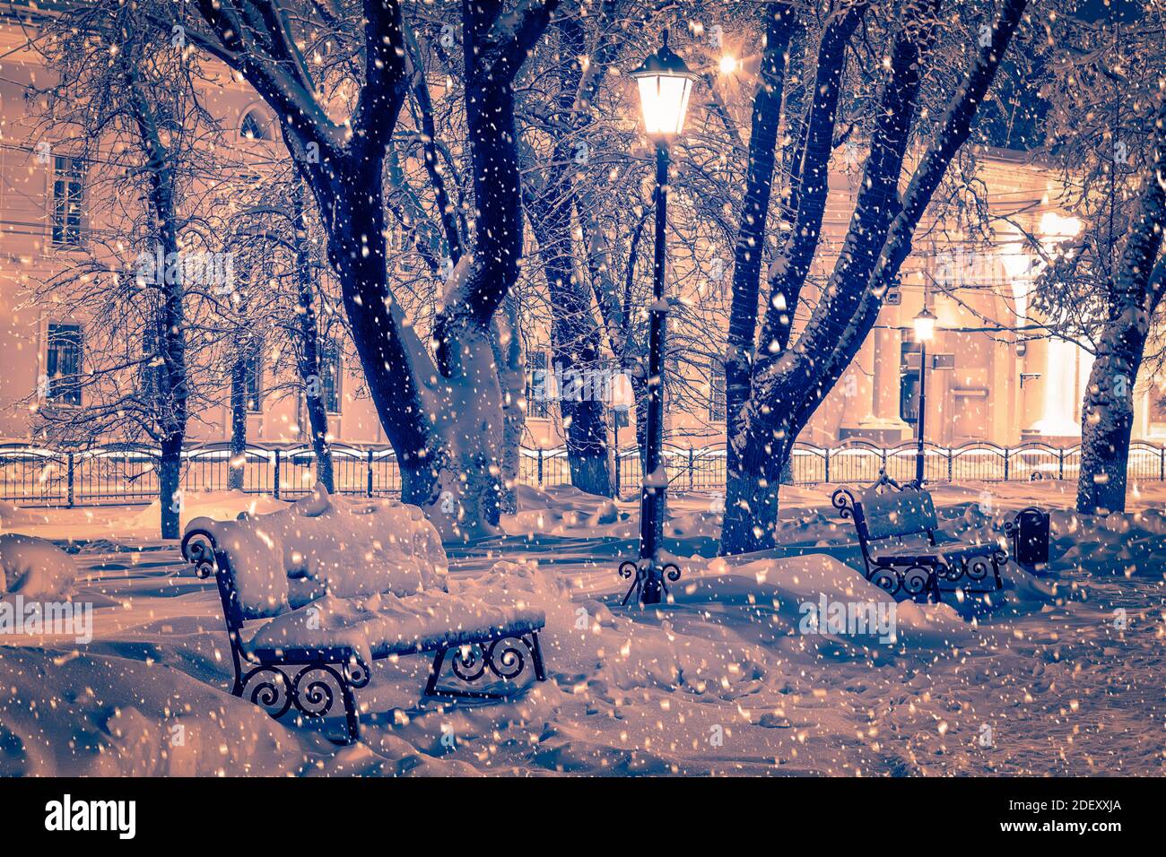 Winter night park with lanterns, benches, pavement and trees covered ...