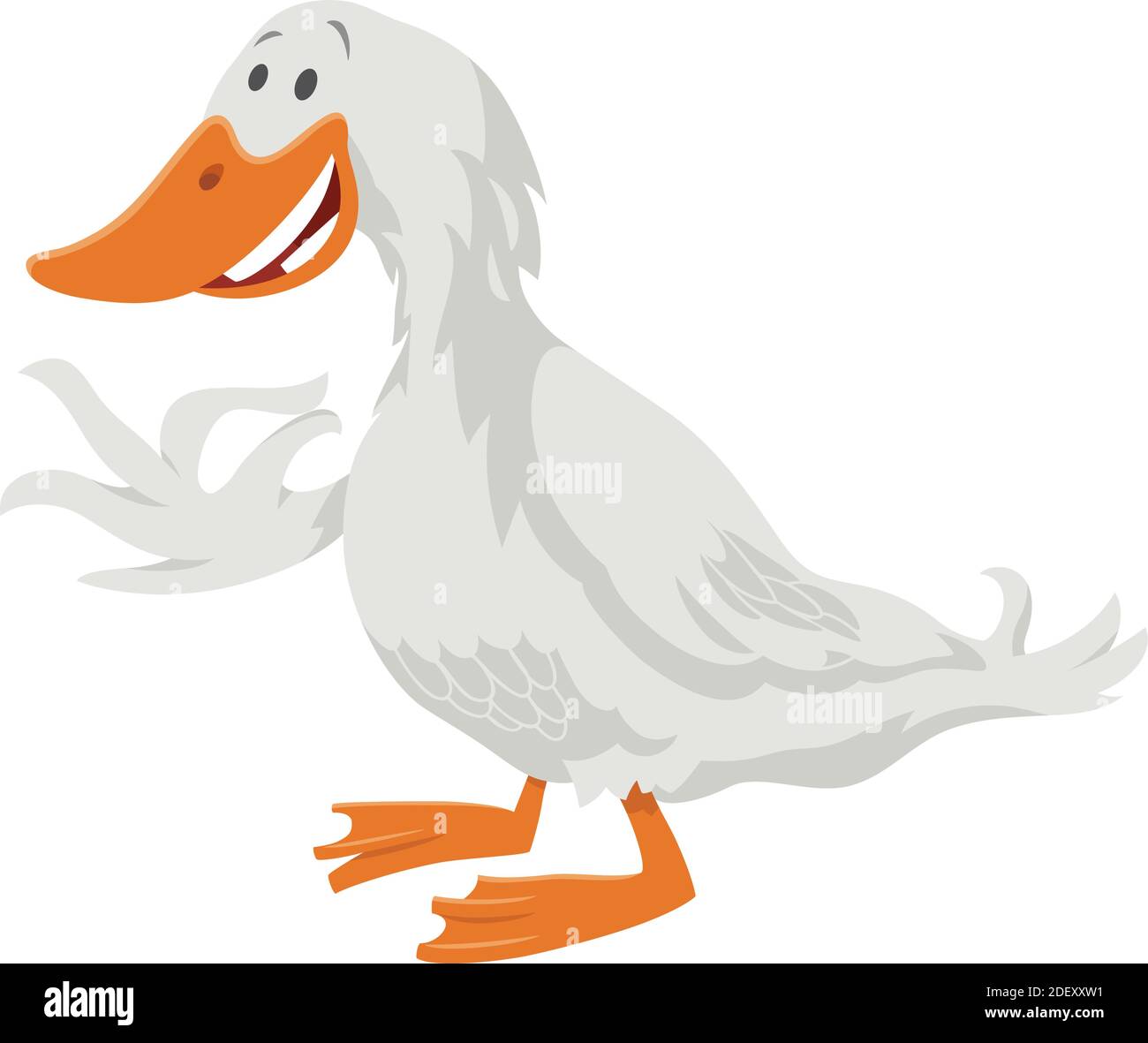 Cartoon illustration of funny duck bird farm animal character Stock ...