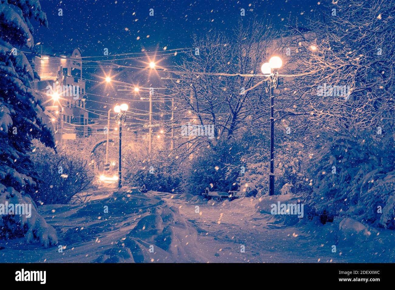 Winter night park with lanterns, pavement and trees covered with snow ...