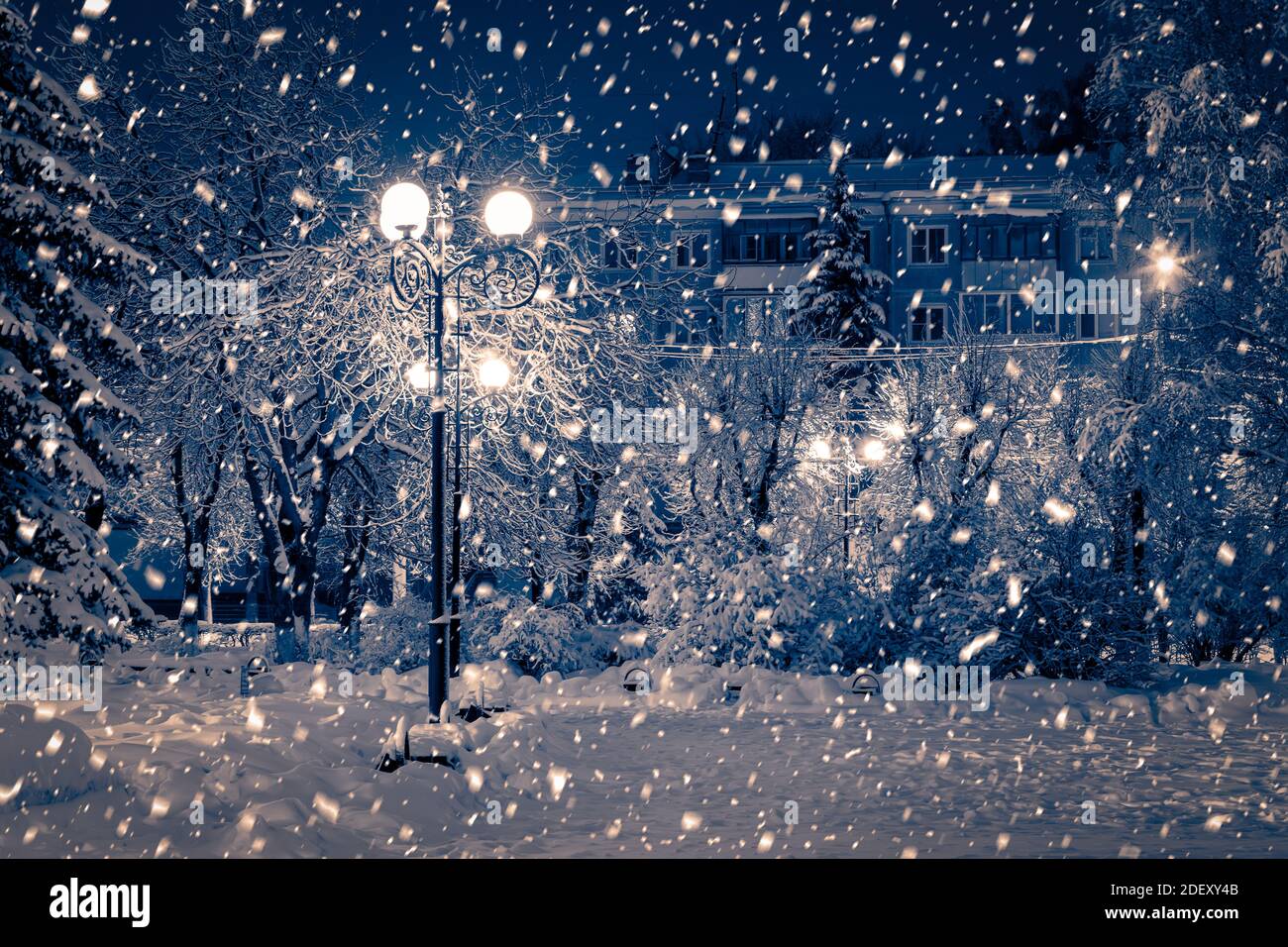 Winter night park with lanterns, pavement and trees covered with snow ...