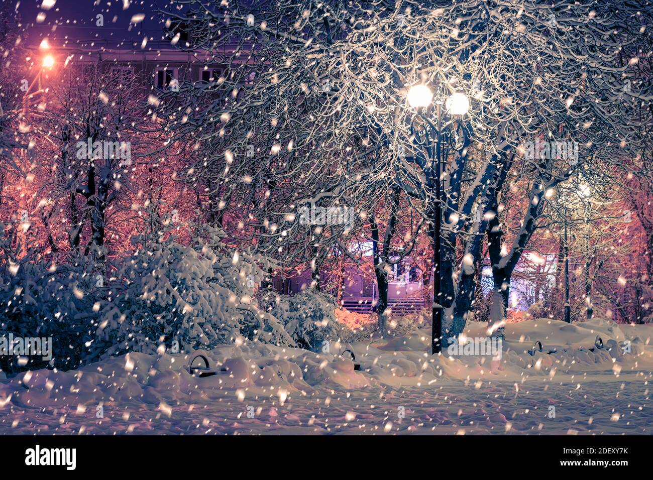 Winter night park with lanterns, pavement and trees covered with snow ...
