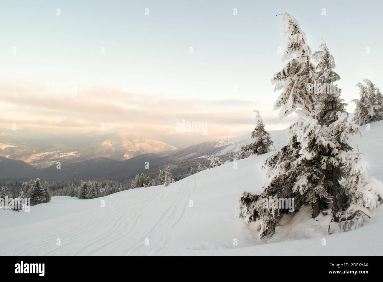 Ski slope in snowy pine trees. Mountain landscape. Horizontal ...